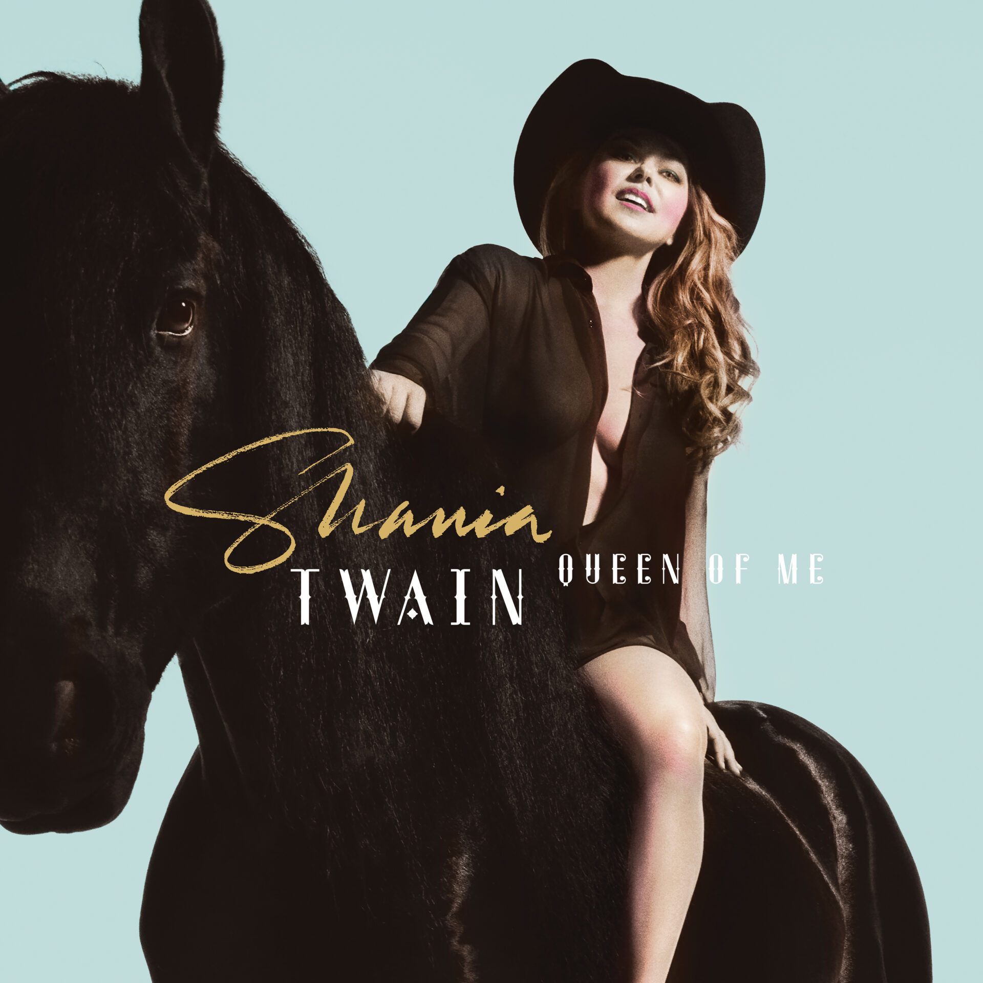 Shania Twain Teases Harry Styles Collaboration Attitude 8659