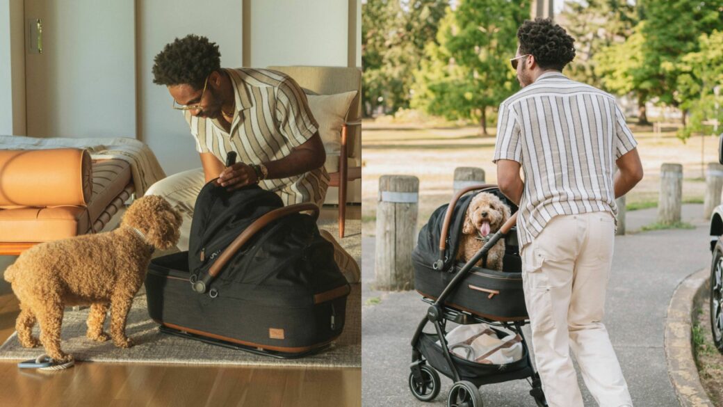 Tavo Maeve Pet Carrier and Roscoe Stroller review: A revelation for dog ...