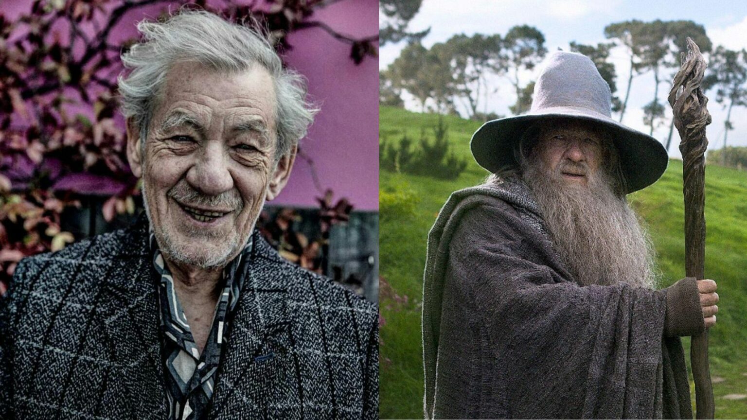 Ian McKellen may play Gandalf again in new Lord of the Rings film