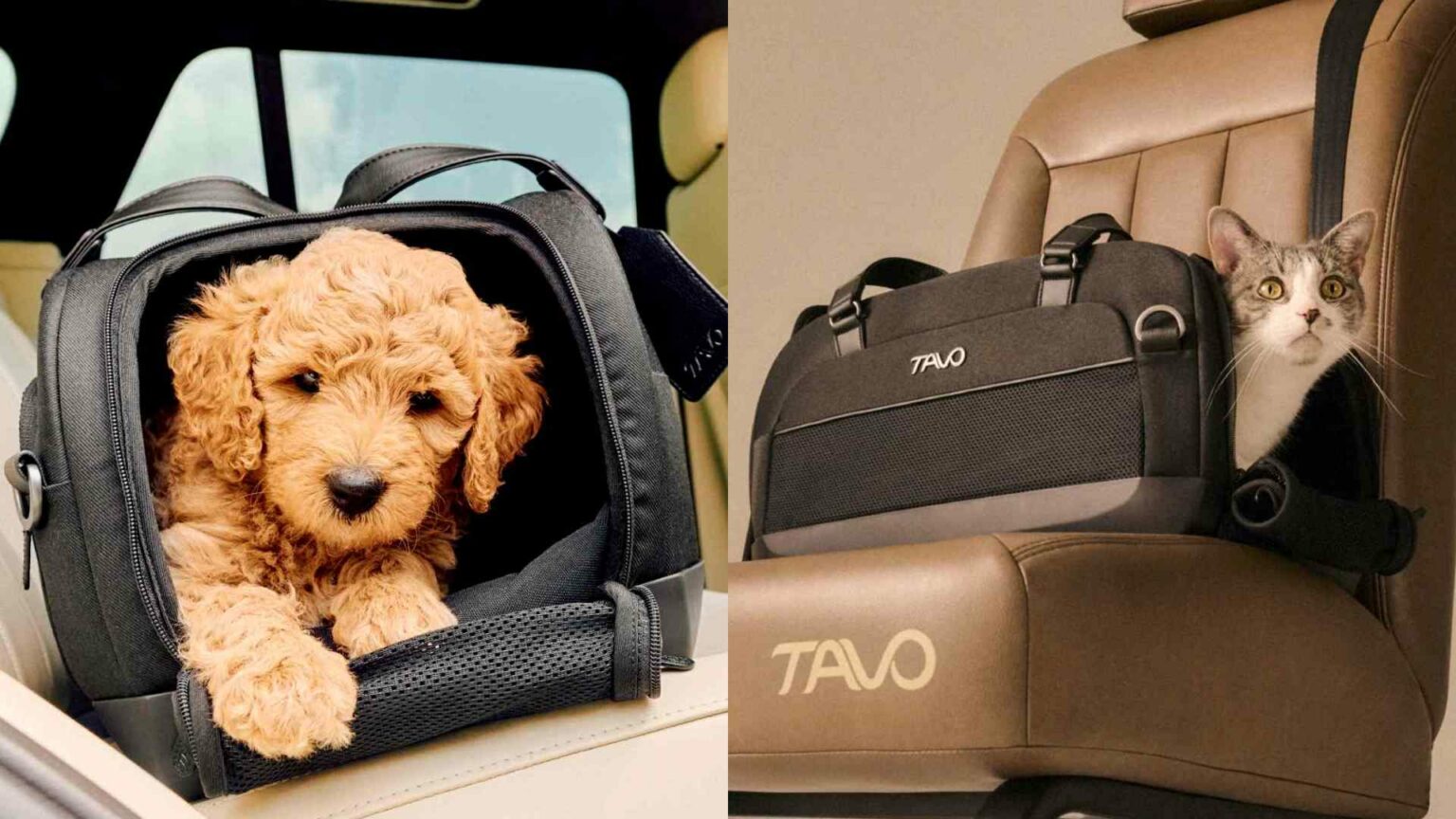 Tavo Dupree Cat and Small Dog Carrier review: A stylish, safe and snug ...