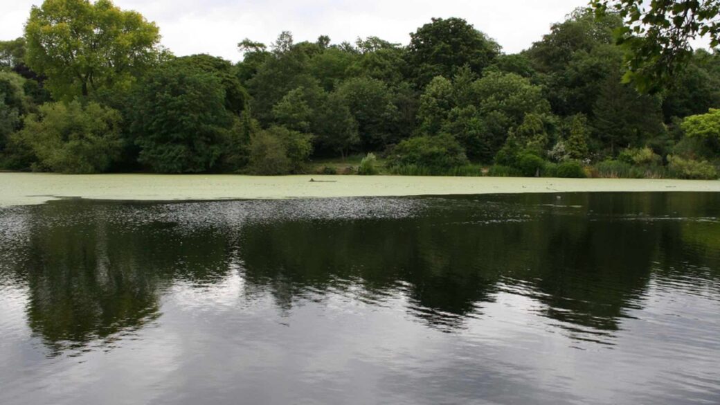 Good Law Project defends trans women’s use of Hampstead Ponds - Attitude